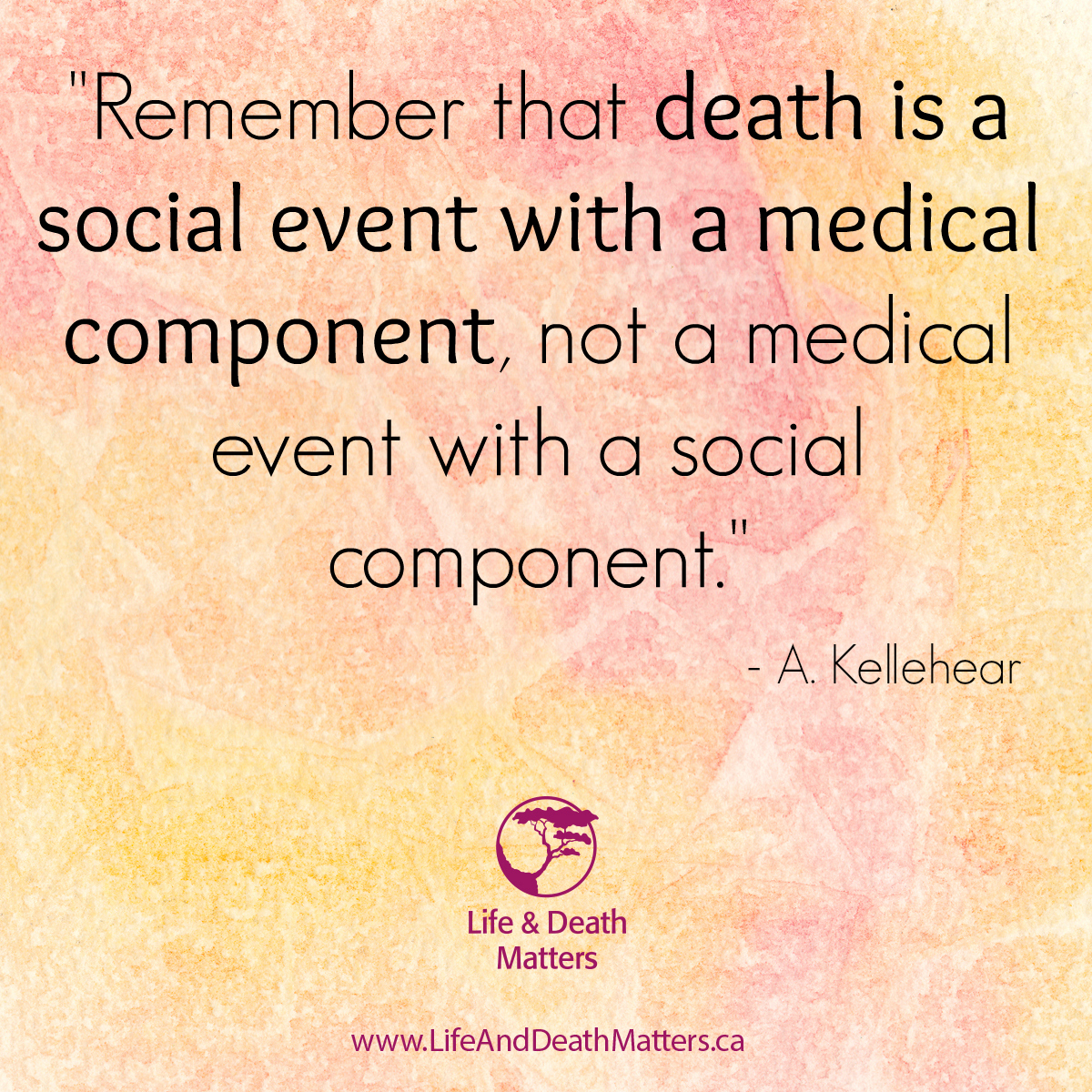 Reflections on the 4th International Public Health & Palliative Care ...